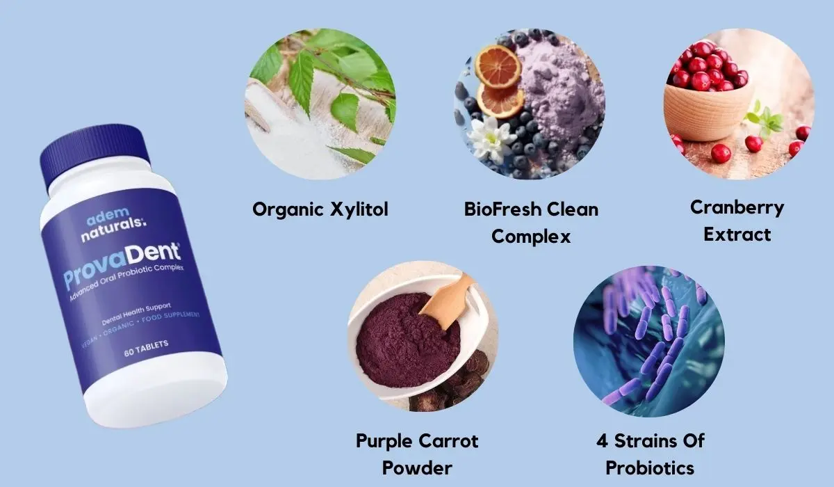 ProvaDent® | Official Website – Natural Oral Probiotic Supplement